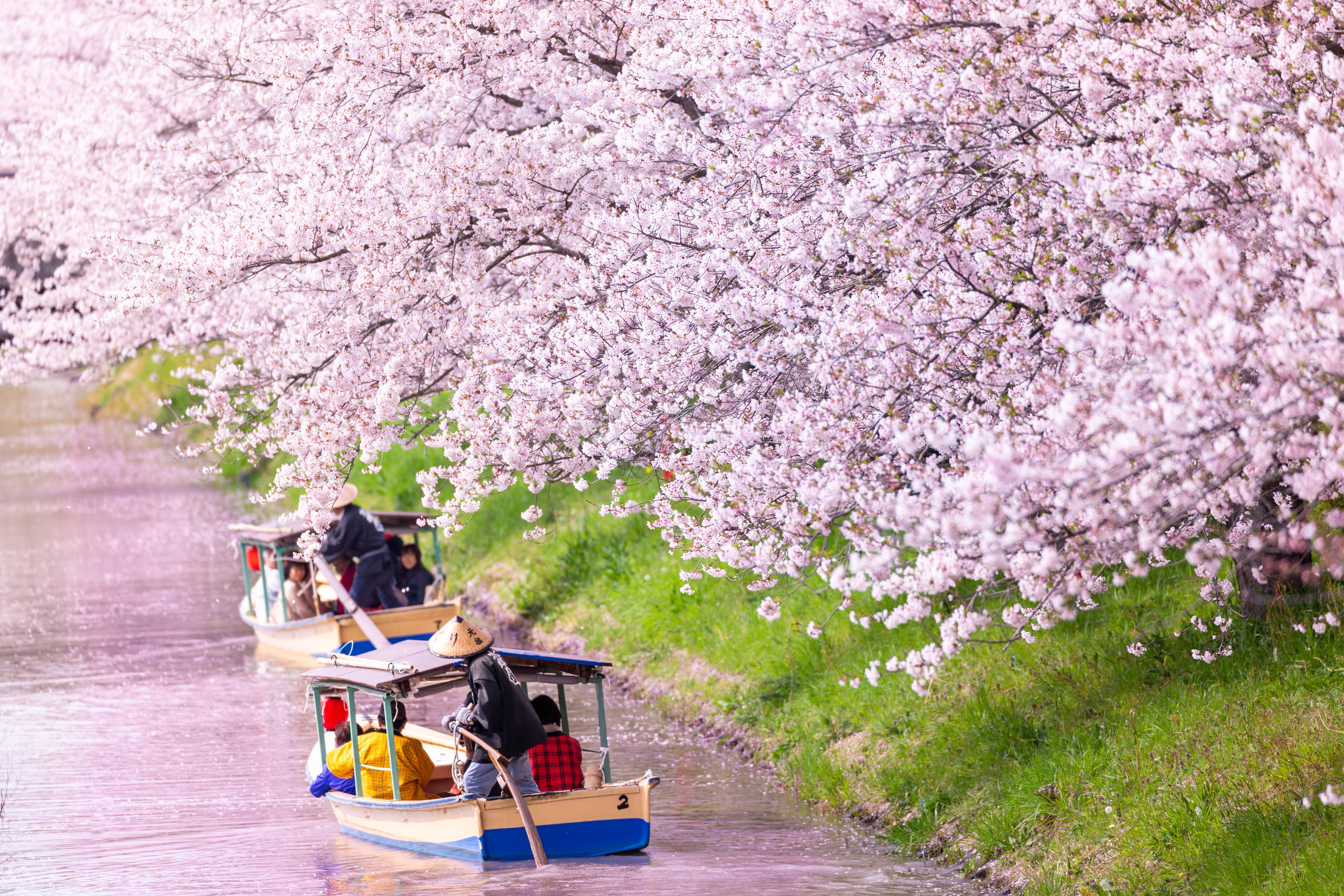 Omihachiman | SHORYUDO , Go Central Japan
