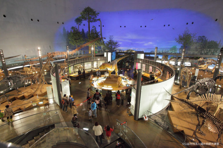 Fukui Prefectural Dinosaur Museum | SHORYUDO , Go Central Japan